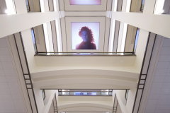 Main Home - 900 North Michigan Shops | Chicago’s Iconic Shopping Collection