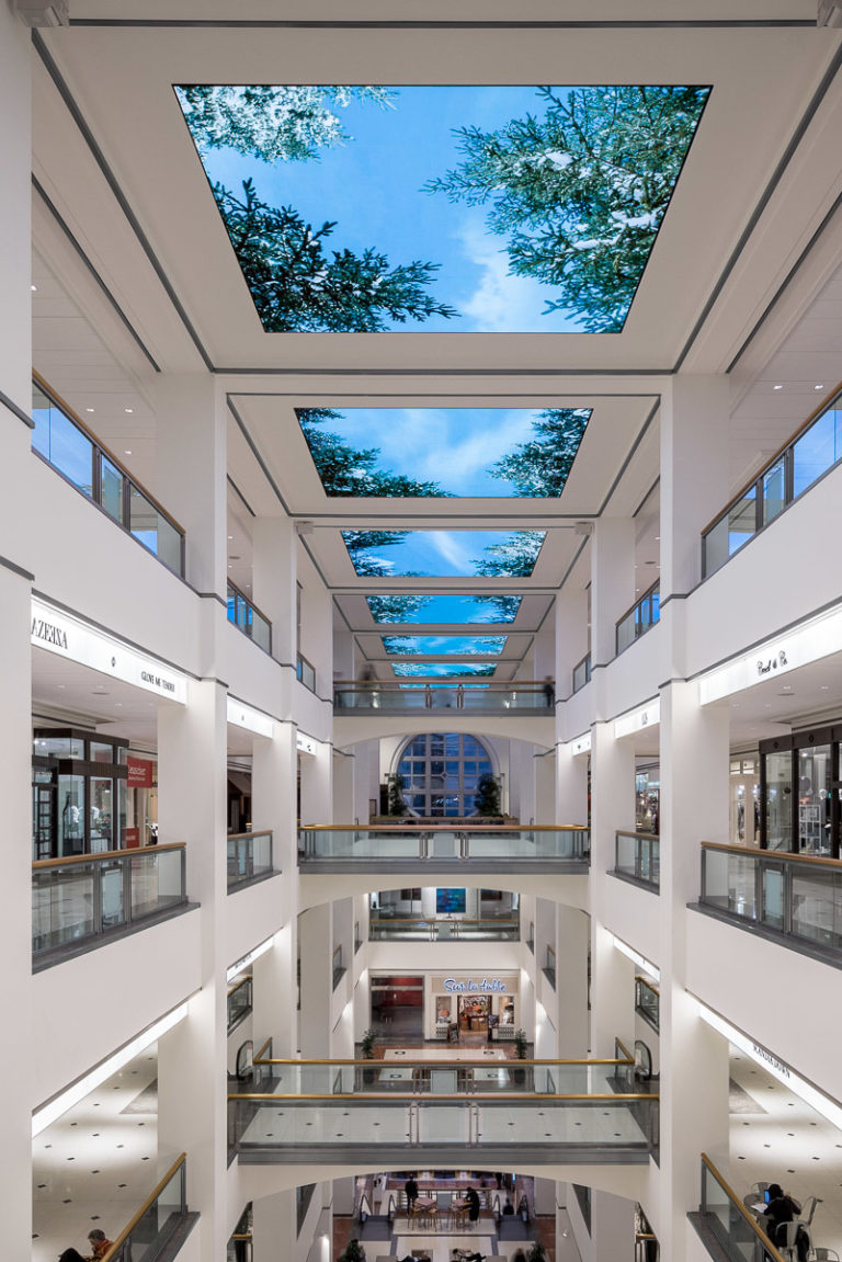Canopy - 900 North Michigan Shops | Chicago’s Iconic Shopping Collection