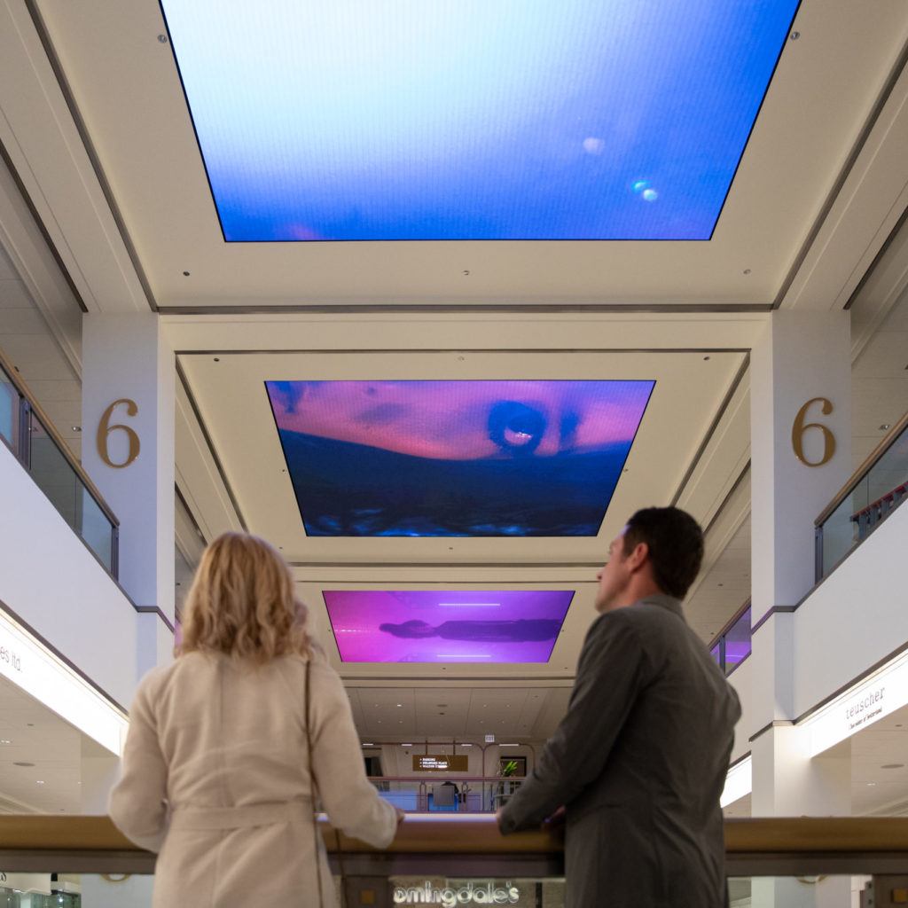 Main Home - 900 North Michigan Shops | Chicago’s Iconic Shopping Collection