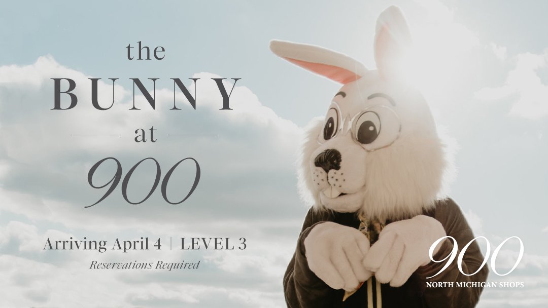 The Bunny at 900 - 900 North Michigan Shops | Chicago’s Iconic Shopping ...